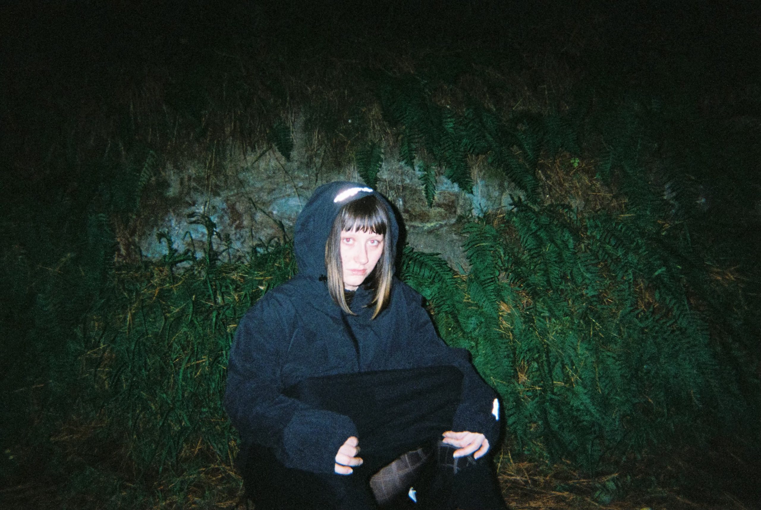 Ferby Today Reveals Striking New Offering: 'Every Night'